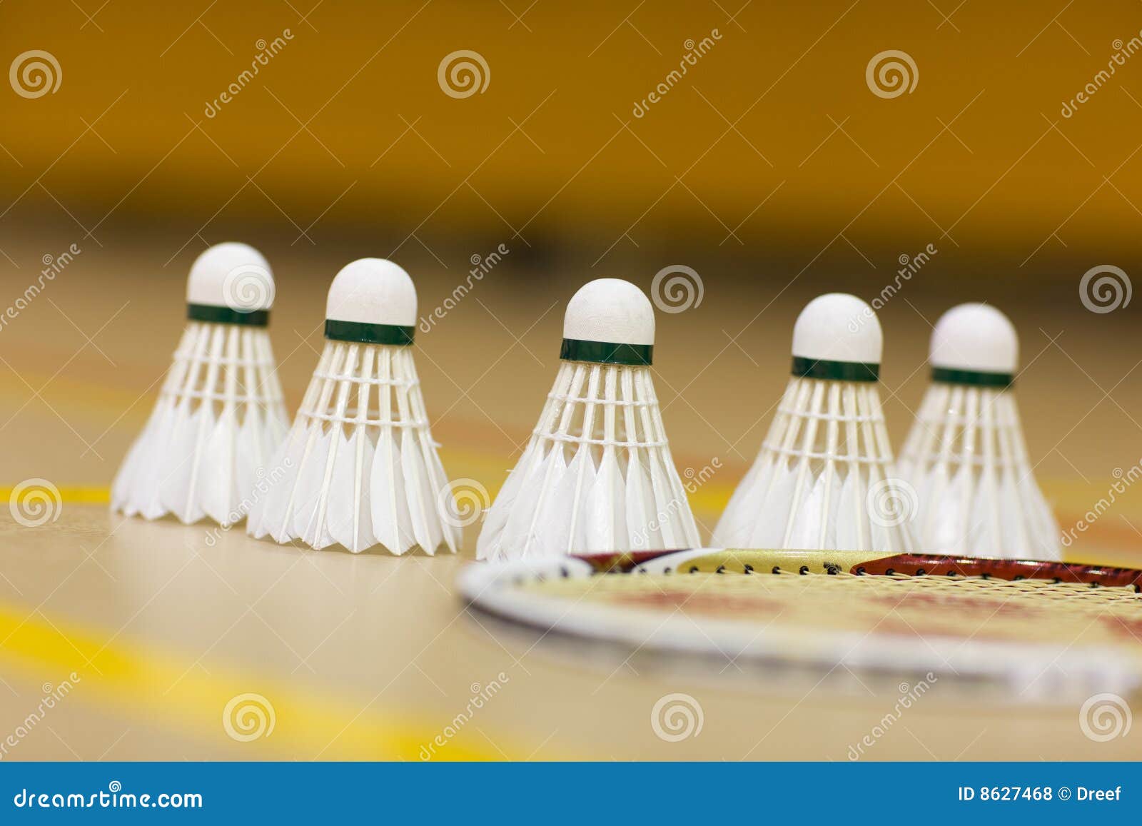 Badminton birds stock photo. Image of battledore, leisure - 8627468