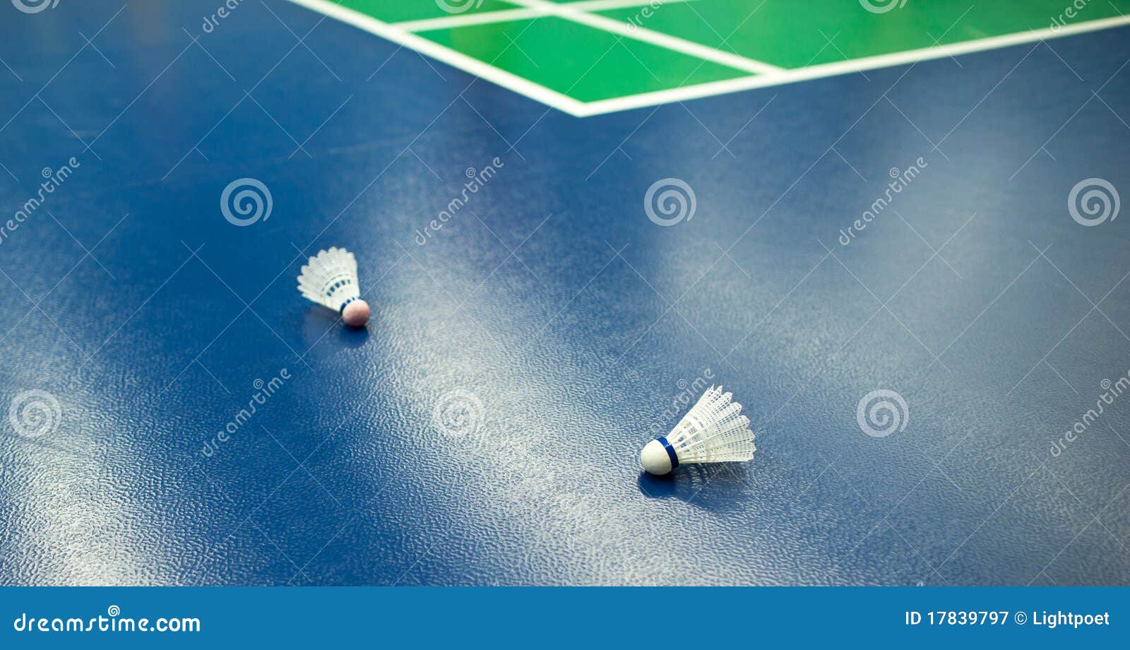 Badminton Courts with Shuttlecocks Stock Image - Image of isolated ...