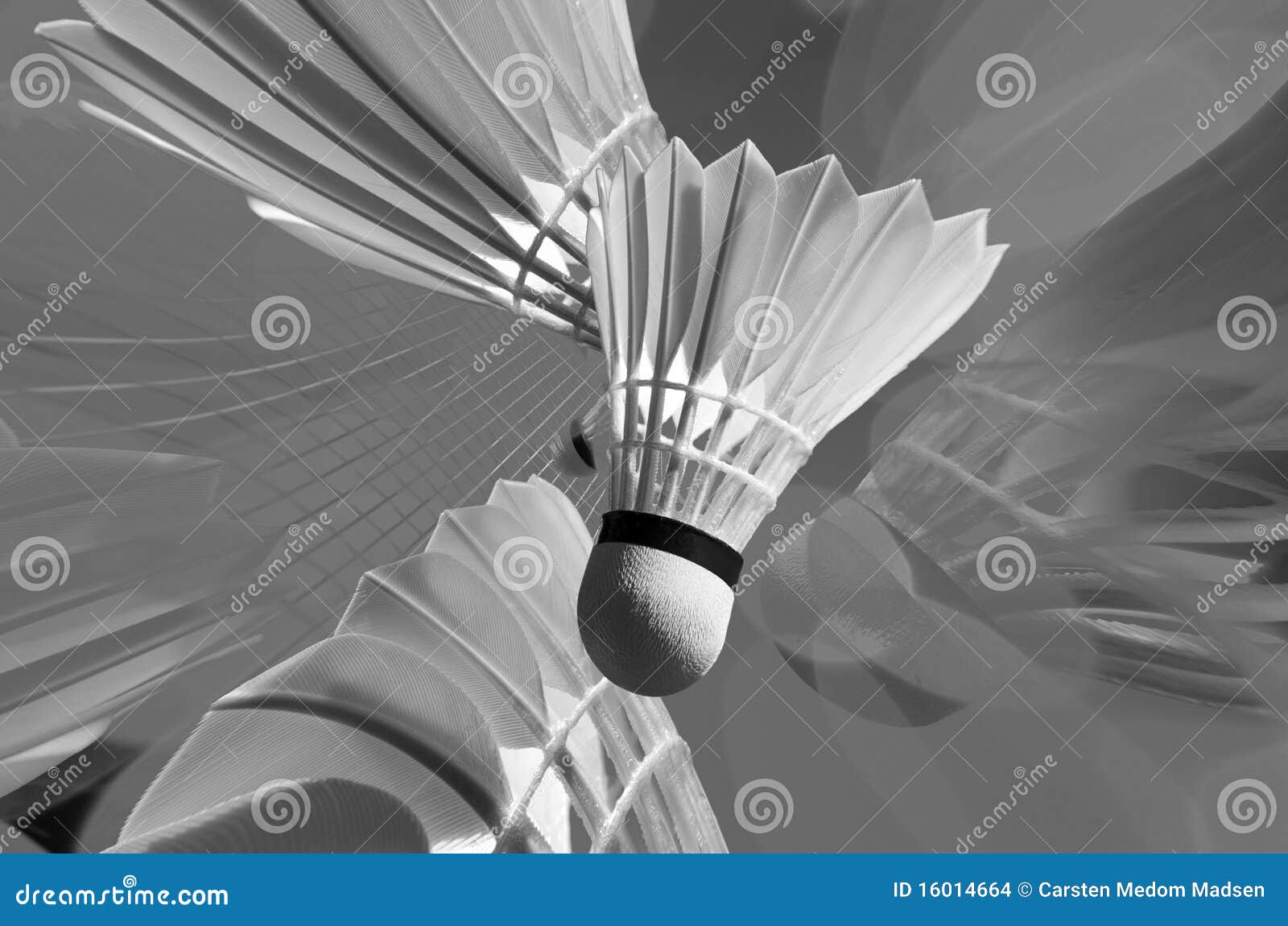Badminton Fight stock photo. Image of action, string - 16014664
