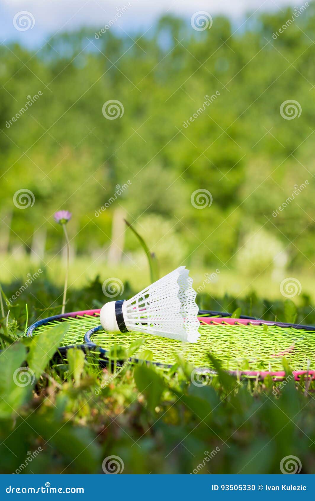 Badminton fun stock photo. Image of hobby, activity, grass - 93505330