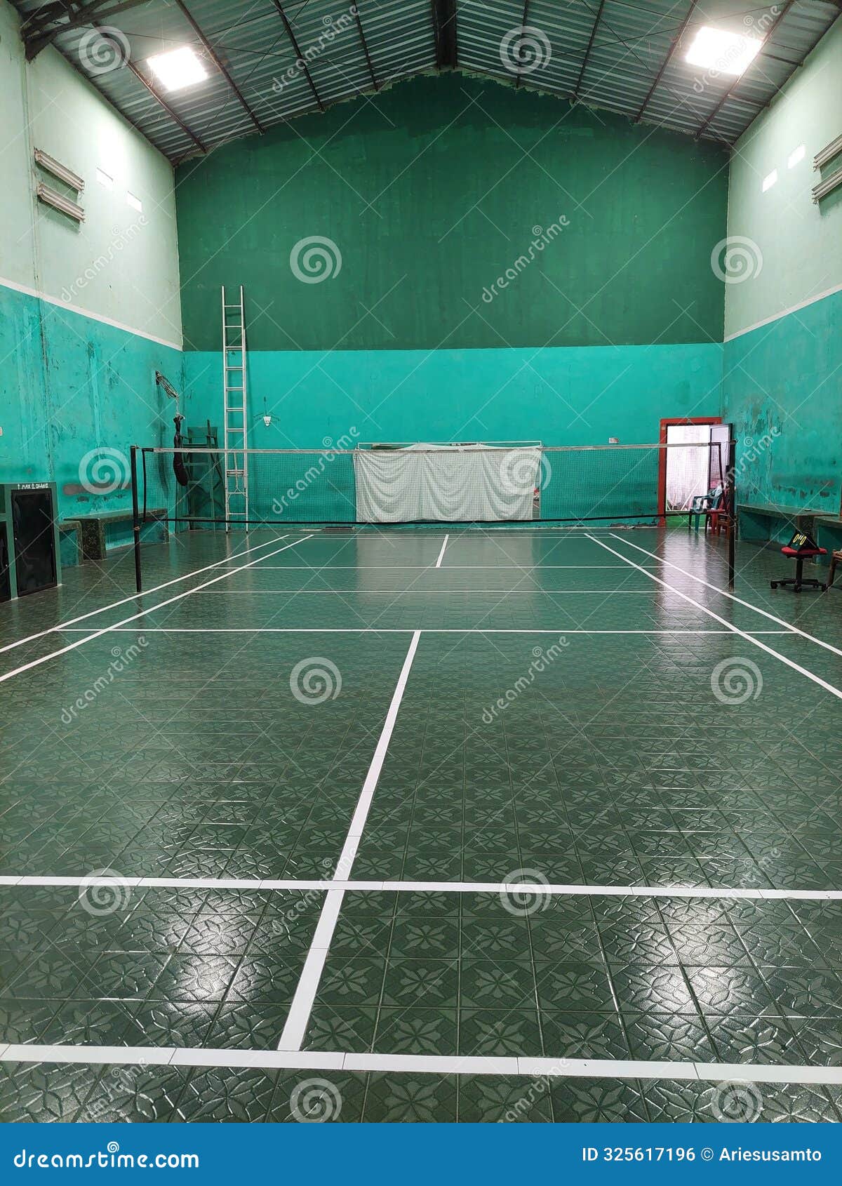 Badminton indoor at home stock photo. Image of trainning - 325617196