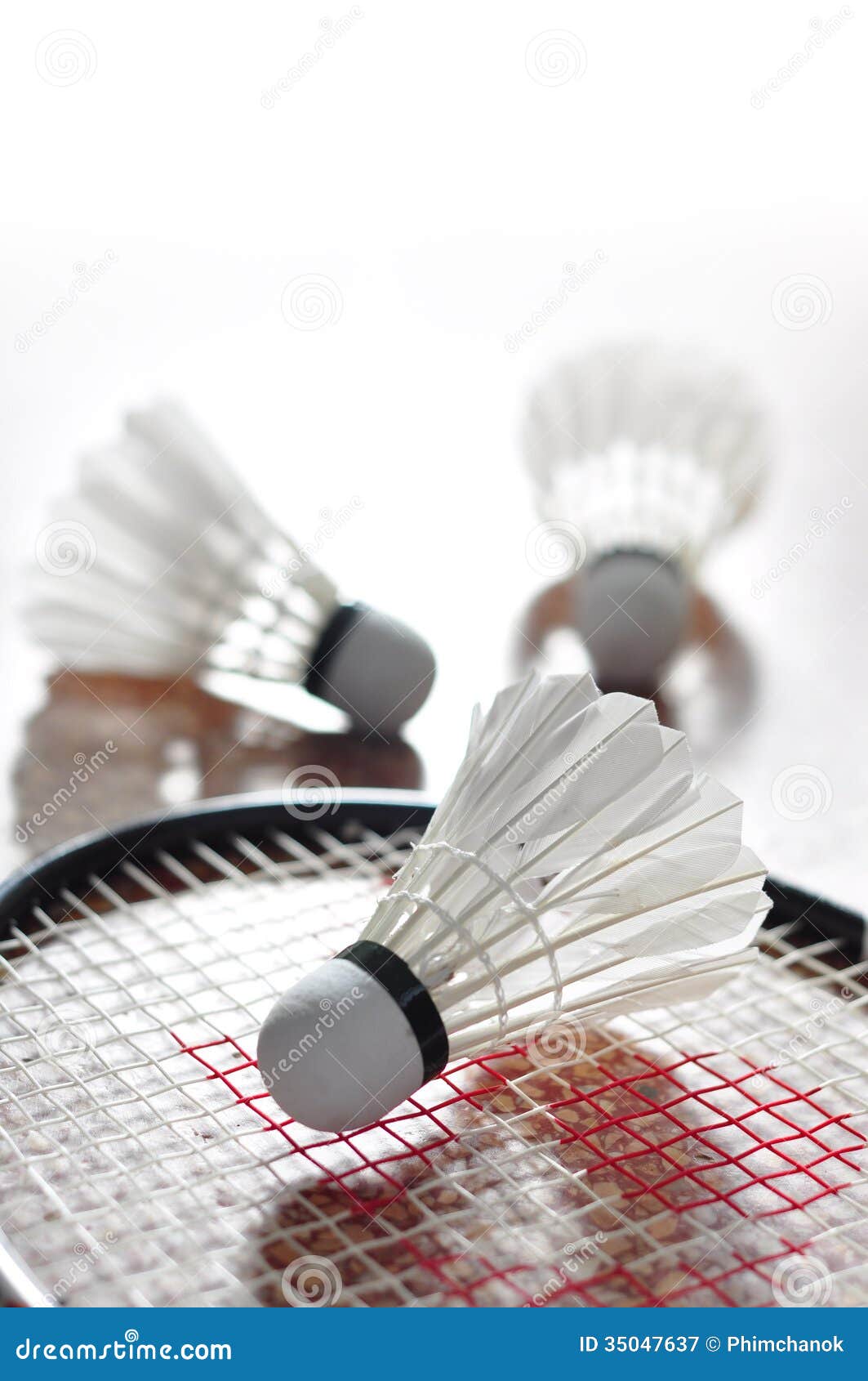 Badminton Kit stock image. Image of depth, player, shuttlecock - 35047637