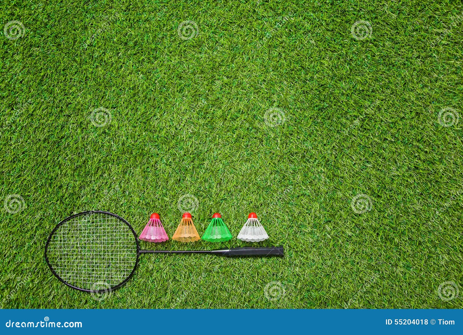 Badminton Racket with Color Shuttlecocks Stock Photo - Image of grass ...