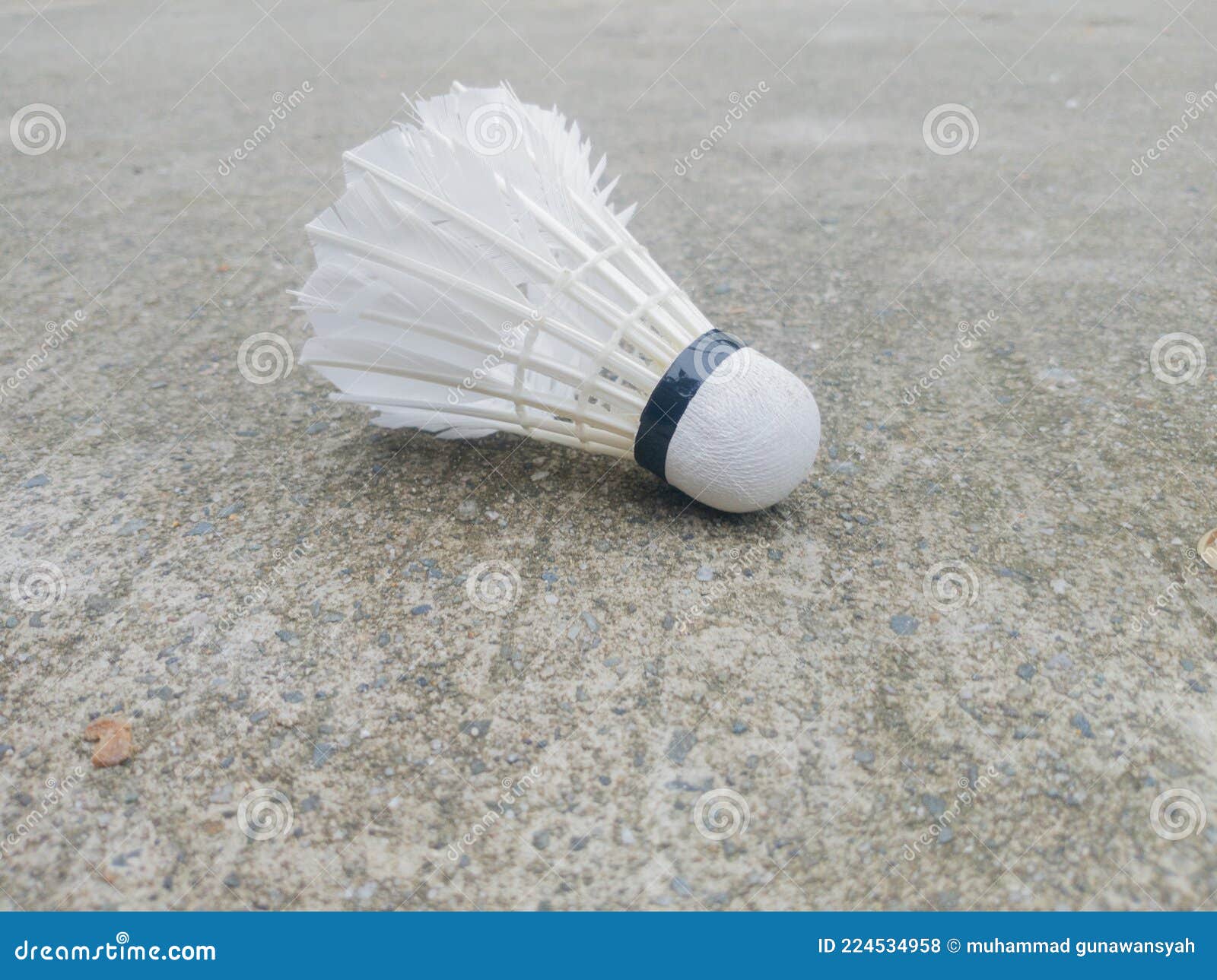 Badminton Racket and Shuttlecock, Playing Badminton in an Open Field ...