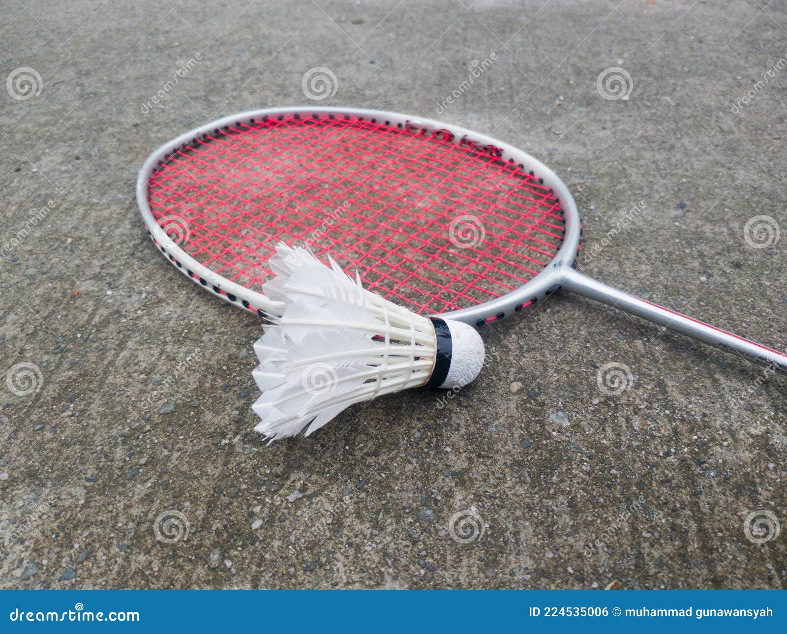 Badminton Racket and Shuttlecock, Playing Badminton in an Open Field ...