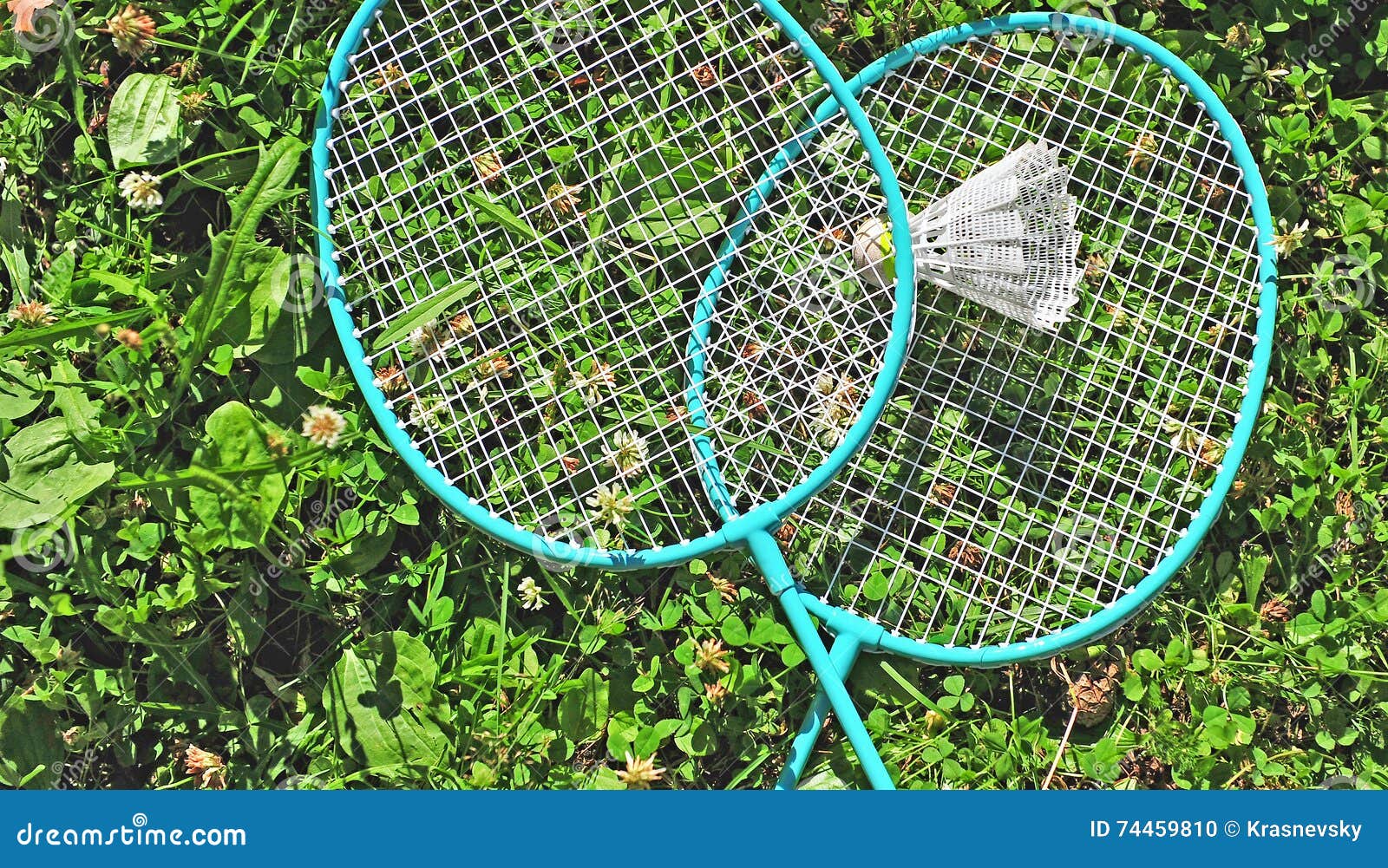 Badminton rackets in grass stock photo. Image of sport - 74459810