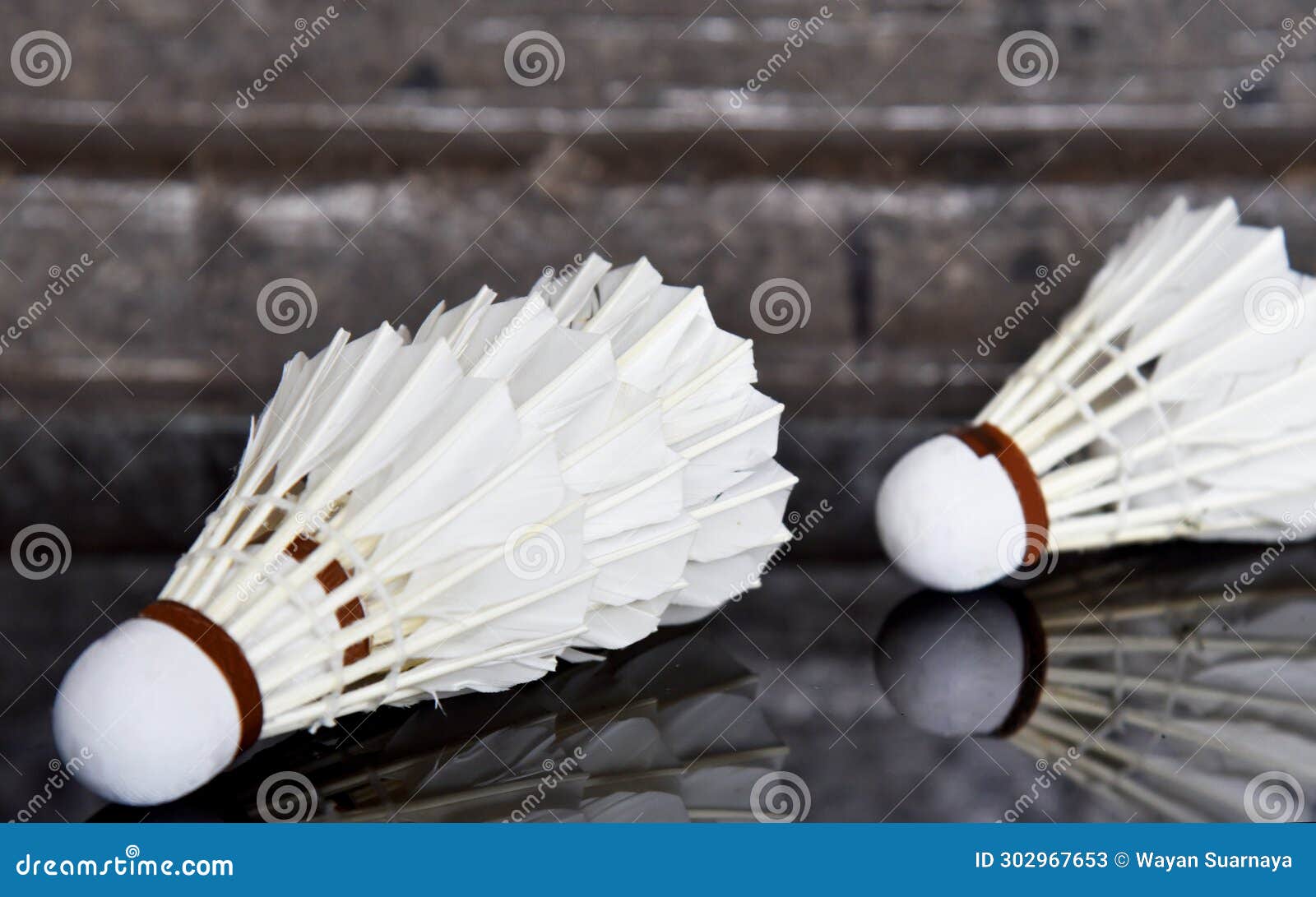 Badminton Shuttelcock on Glass Reflection with Racket As a Background ...