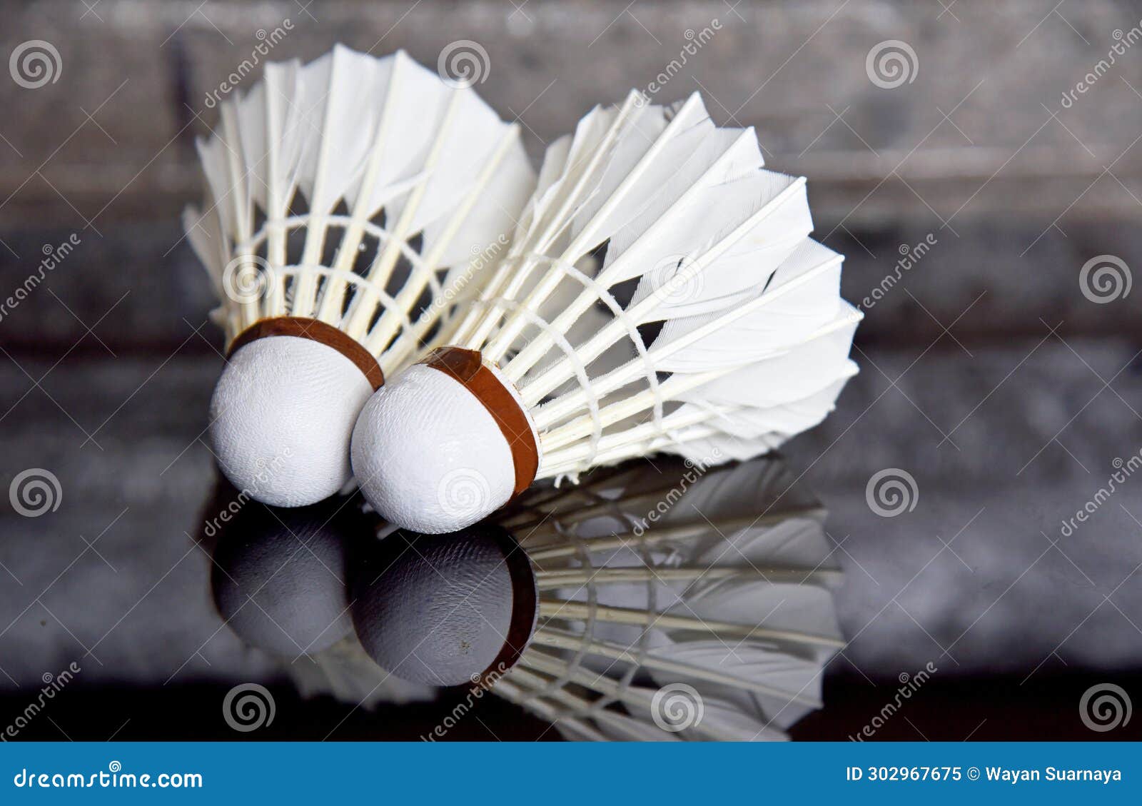 Badminton Shuttelcock on Glass Reflection with Racket As a Background ...