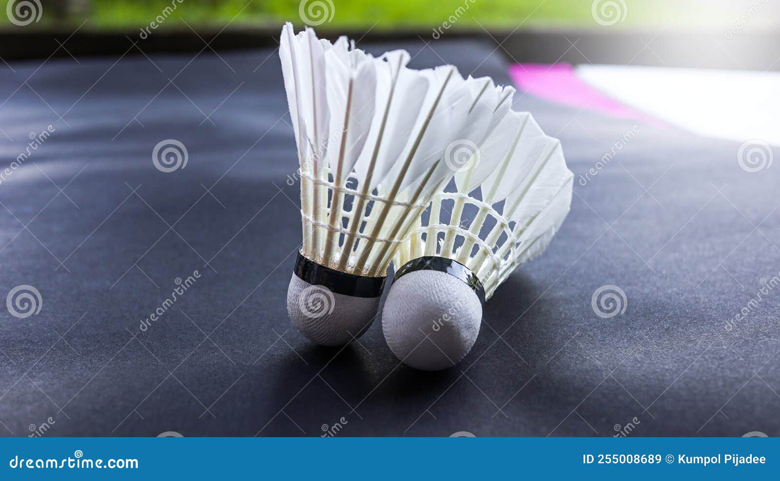Badminton Shutter Cocks On Racket Are On Dark Background Royalty-Free ...