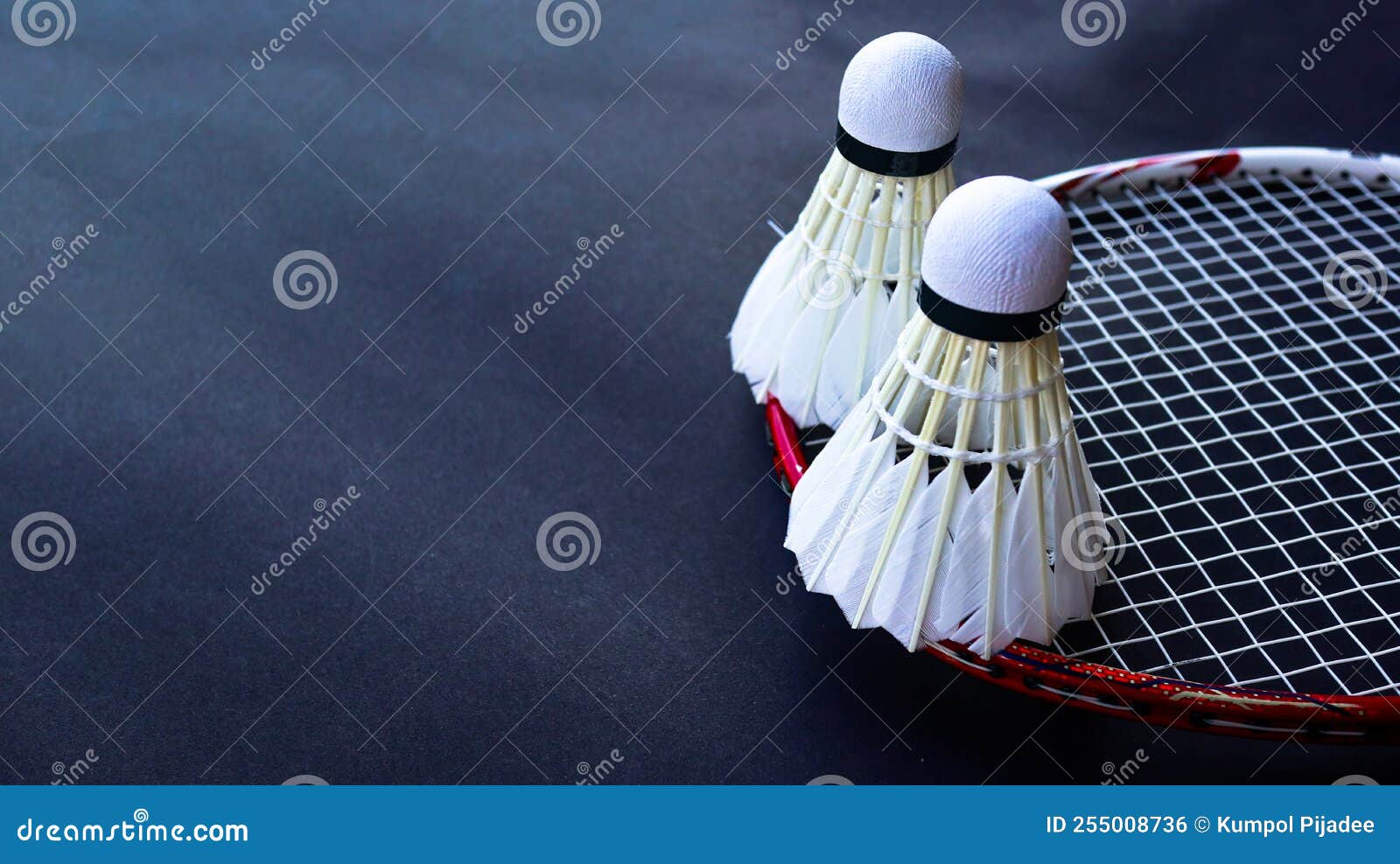 Badminton Shutter Cocks On Racket Are On Dark Background Royalty-Free ...