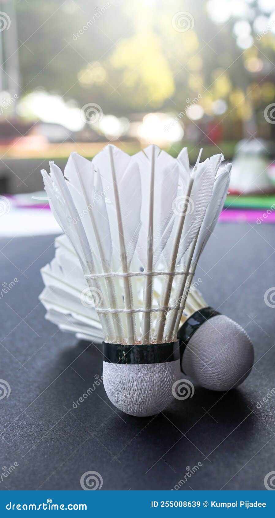 Badminton Shutter Cocks On Racket Are On Dark Background Royalty-Free ...