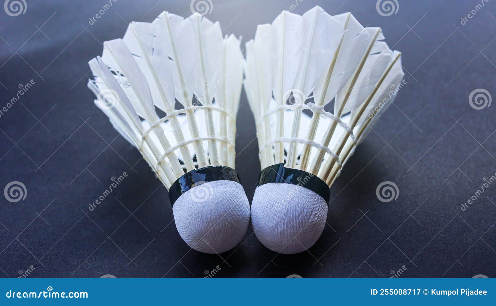 Badminton Shutter Cocks On Racket Are On Dark Background Royalty-Free ...
