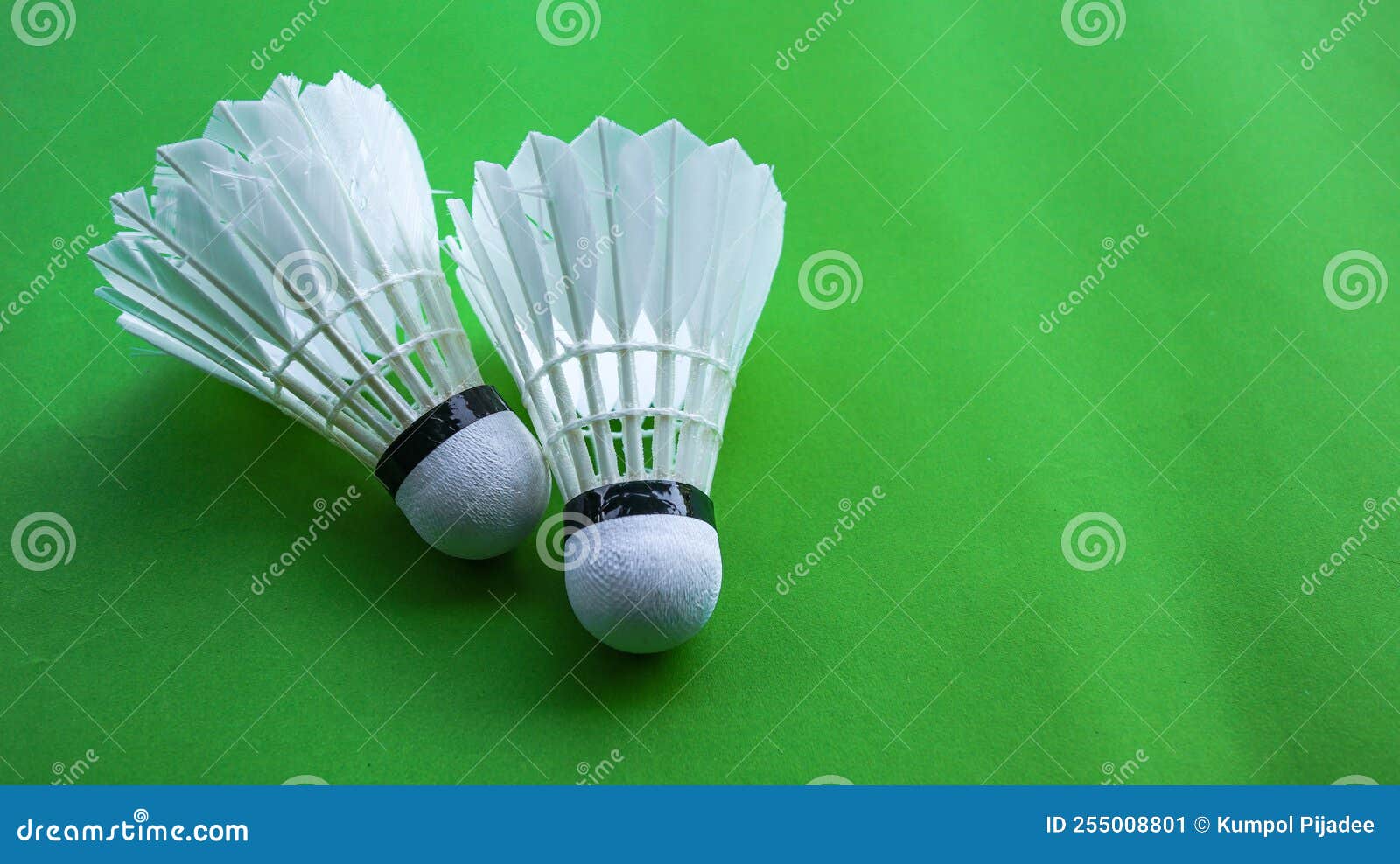 Badminton Shutter Cocks On Racket Are On Dark Background Royalty-Free ...