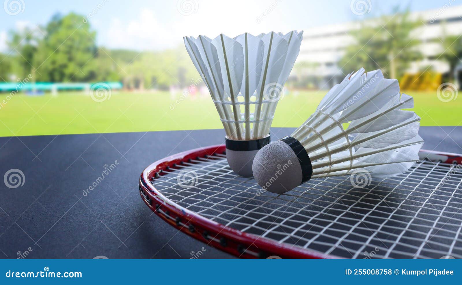 Badminton Shutter Cocks On Racket Are On Dark Background Royalty-Free ...