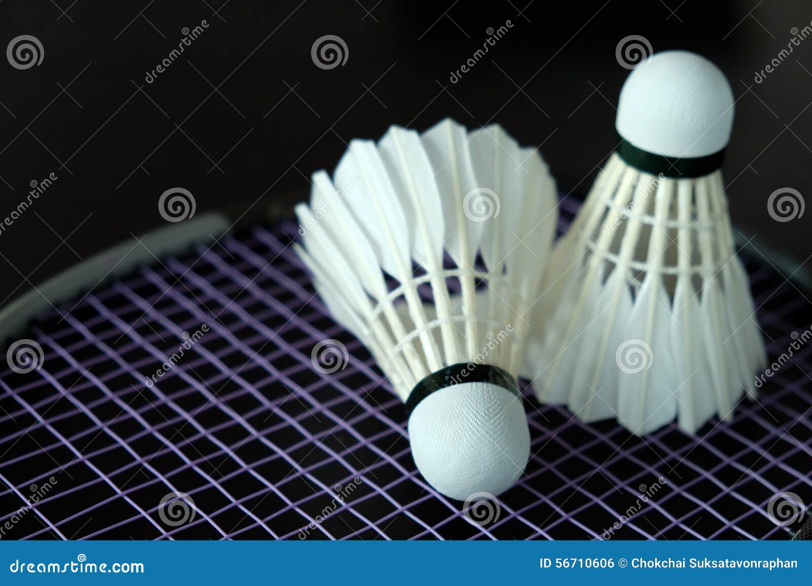 Badminton Shuttle. stock photo. Image of competition - 56710606