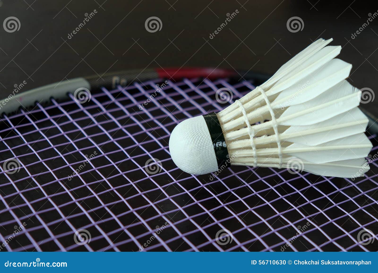 Badminton Shuttle. stock photo. Image of professional - 56710630
