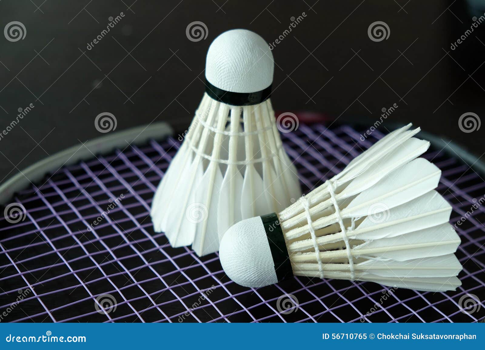 Badminton Shuttle. stock image. Image of ball, professional - 56710765