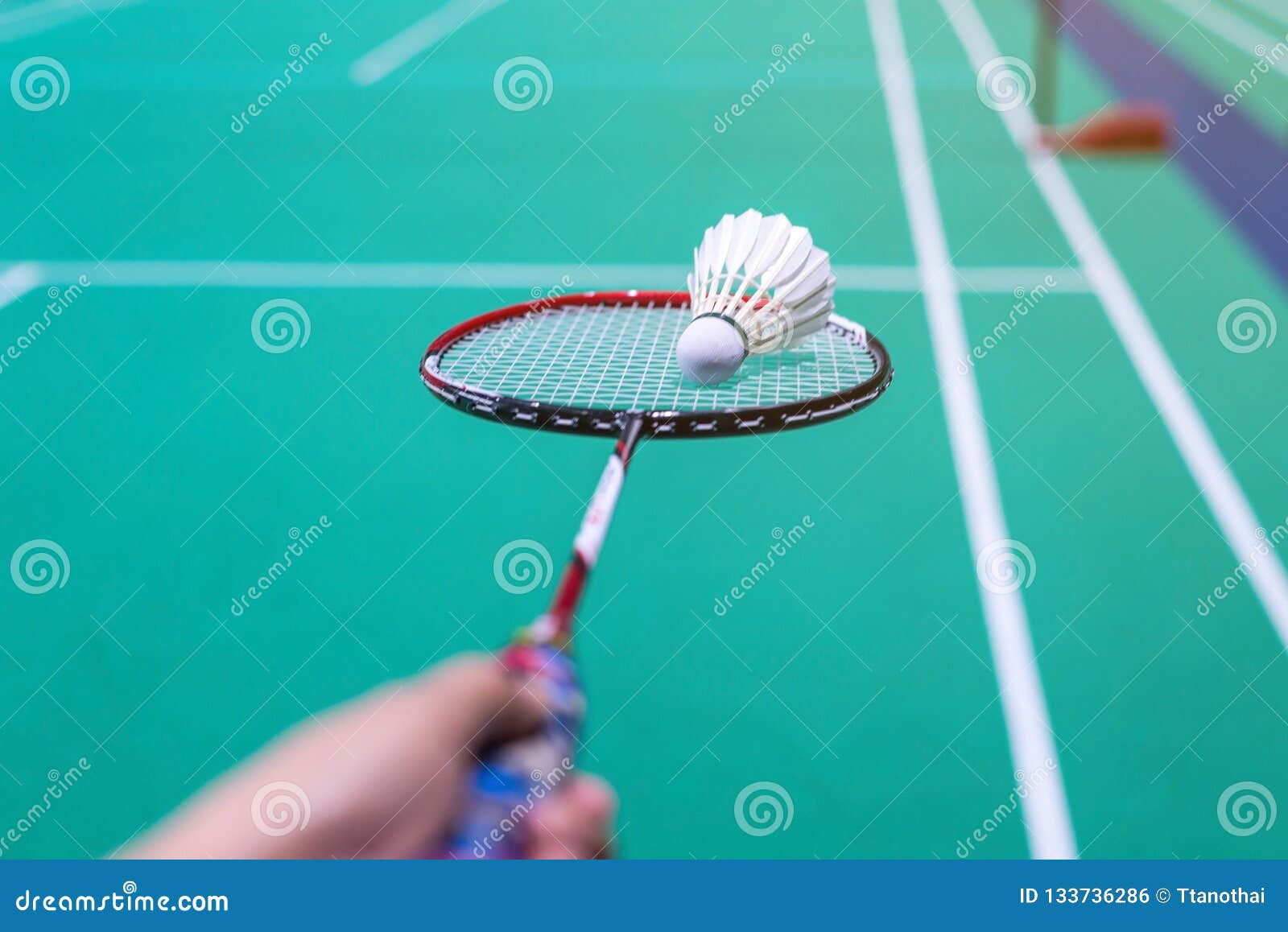 Badminton Shuttlecock with Racket on Court Stock Photo - Image of line ...
