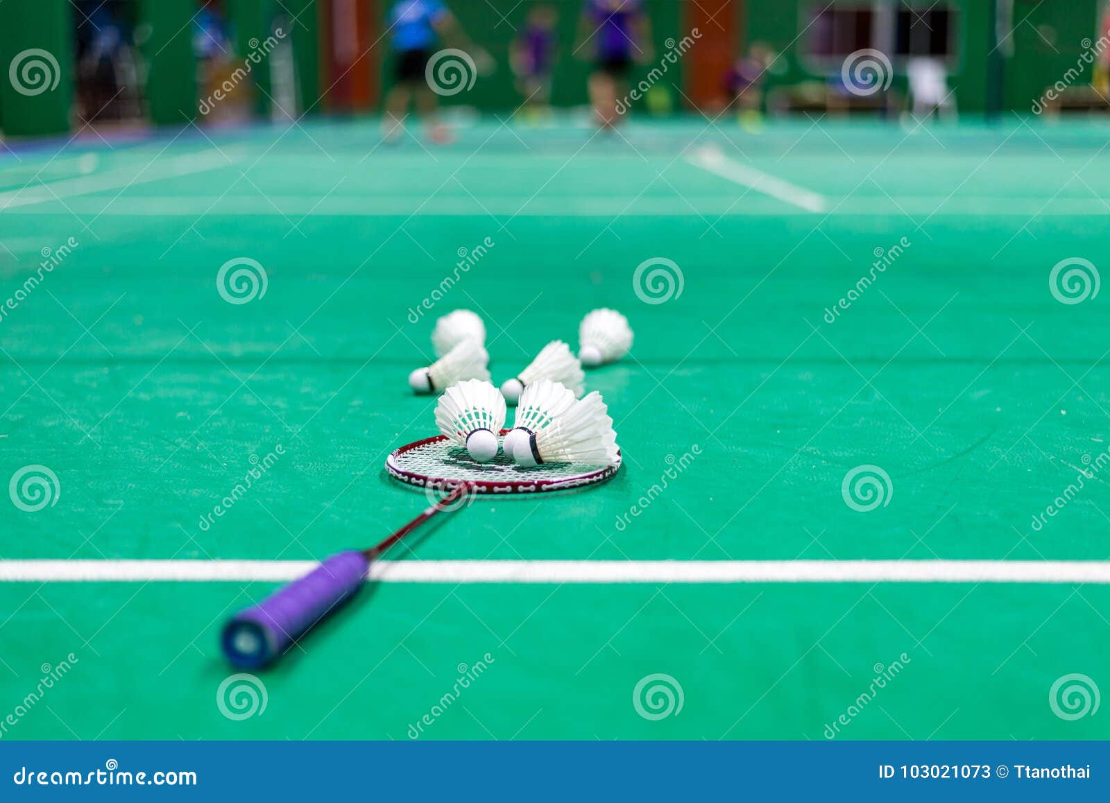 Badminton Shuttlecock and Racket on Court, Selective Focus Stock Image ...