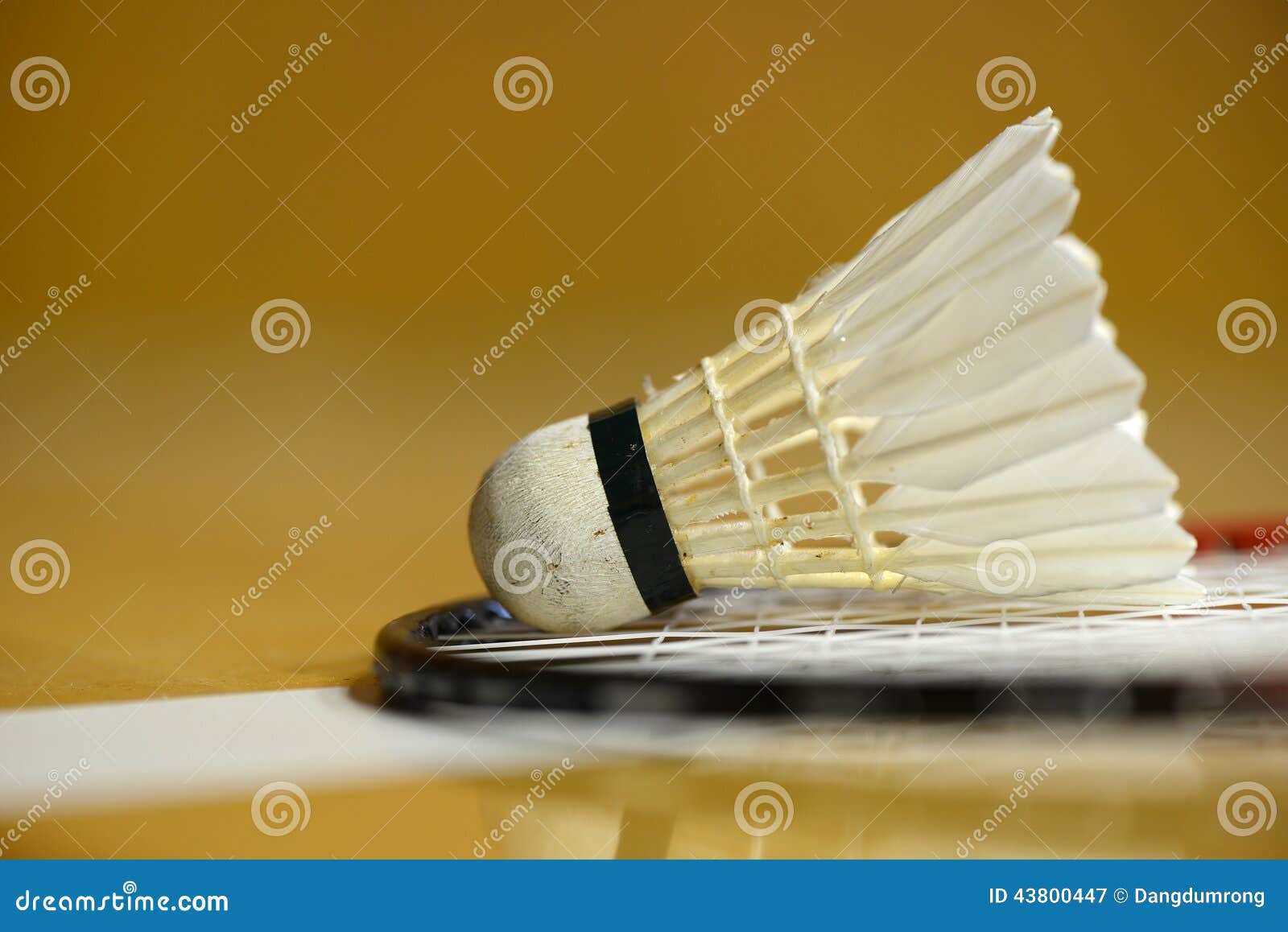Badminton Shuttlecock on Racket Stock Image - Image of string, racket ...