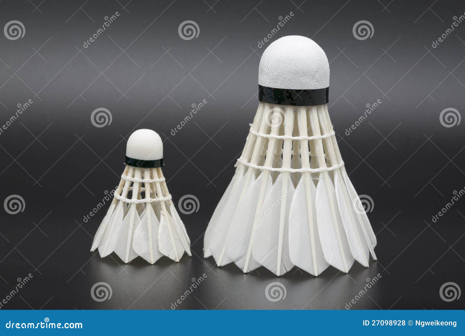 Badminton Shuttlecocks stock photo. Image of ball, hobby - 27098928