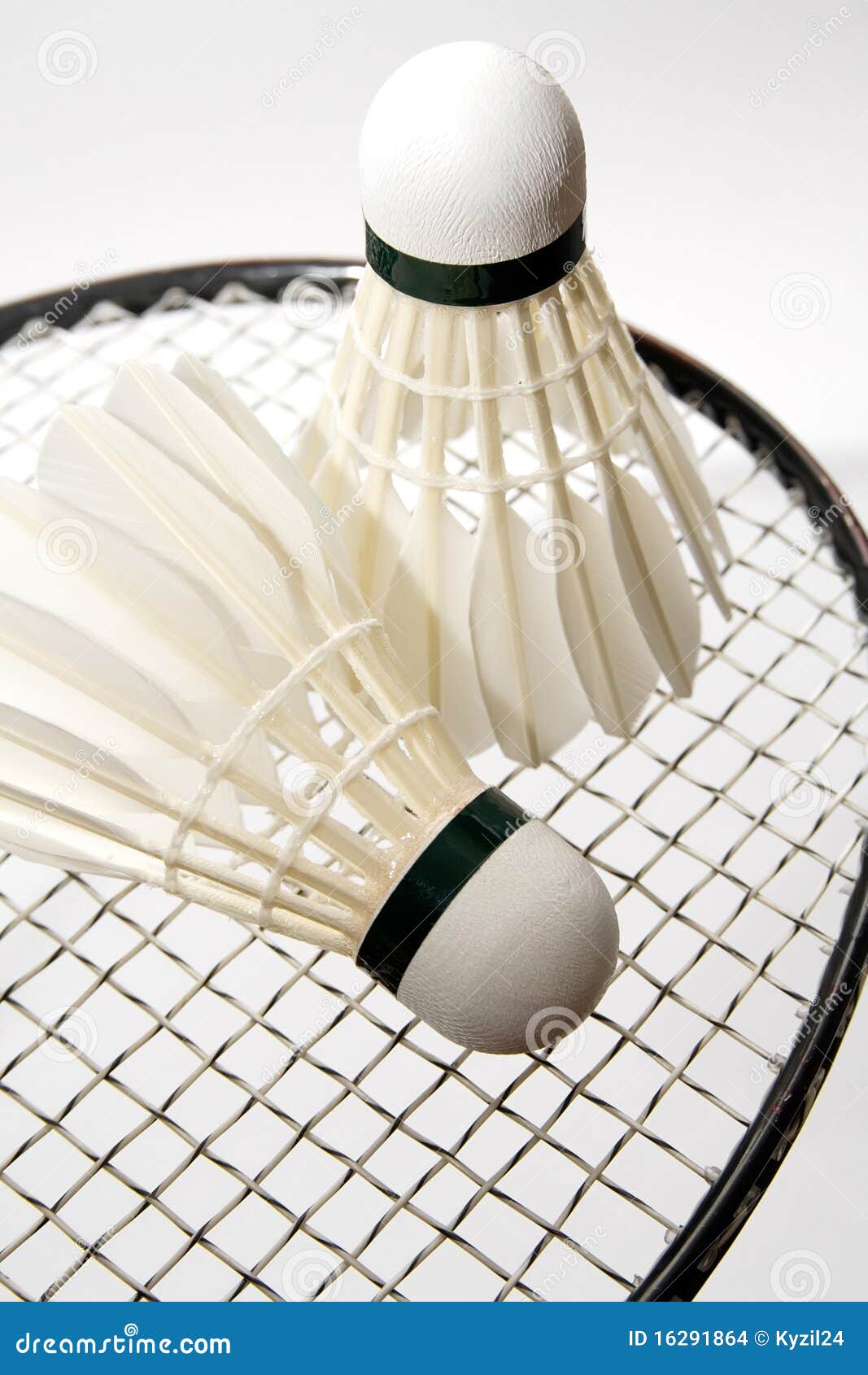Badminton Shuttlecocks on the Racket Stock Photo - Image of ball ...