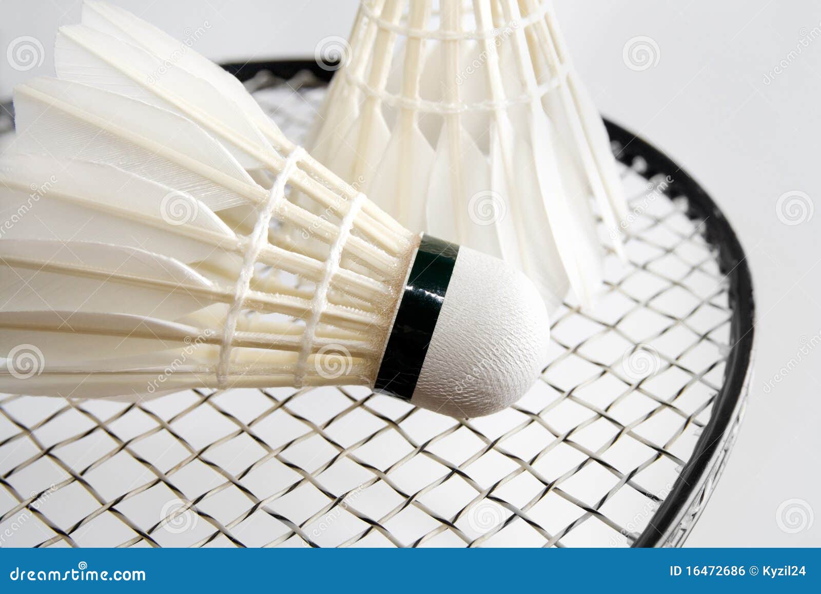 Badminton Shuttlecocks on the Racket. Horizontal Stock Photo - Image of ...