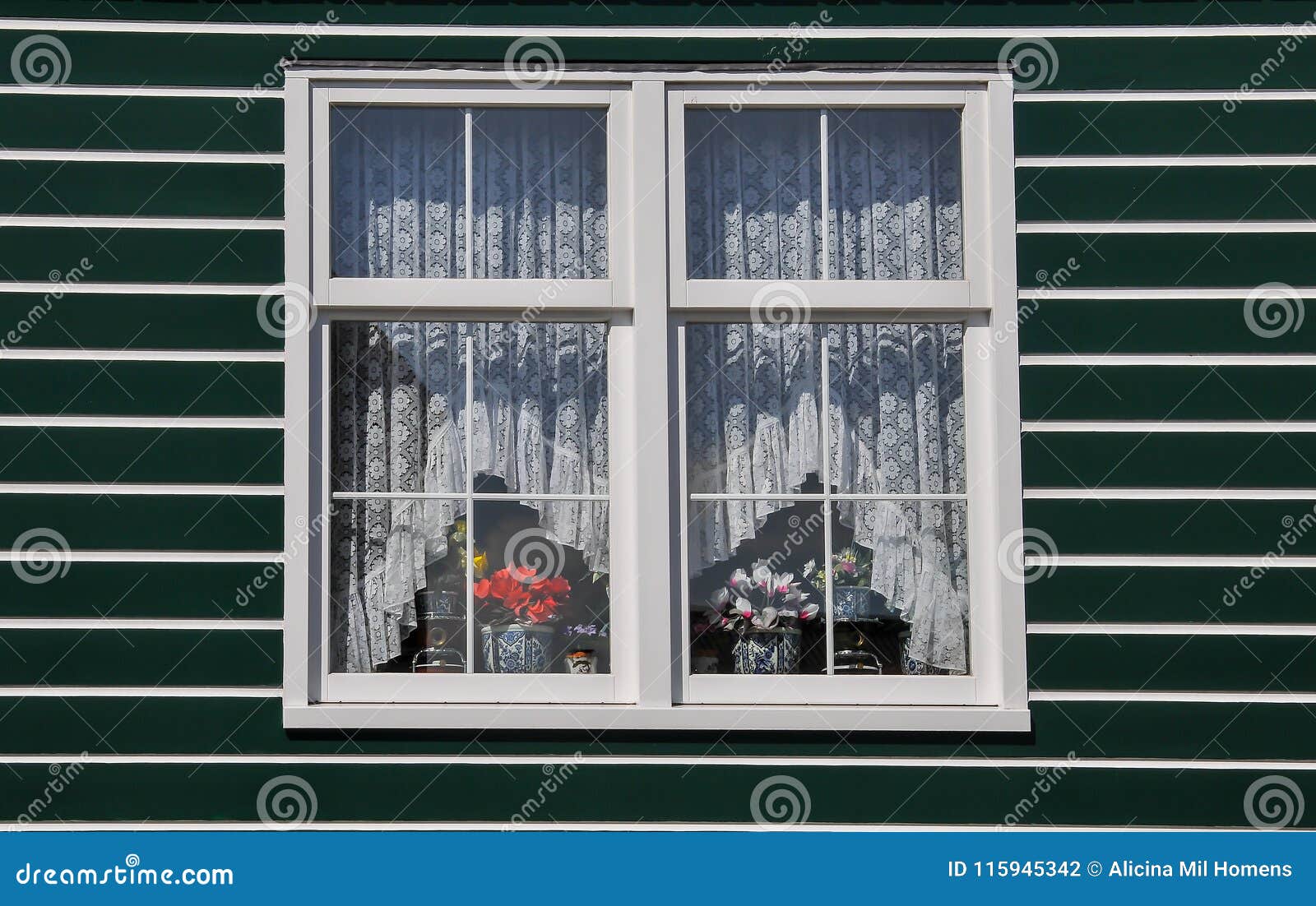 Baeutiful Windows in Netherlands with Lace Curtains Stock Photo - Image ...