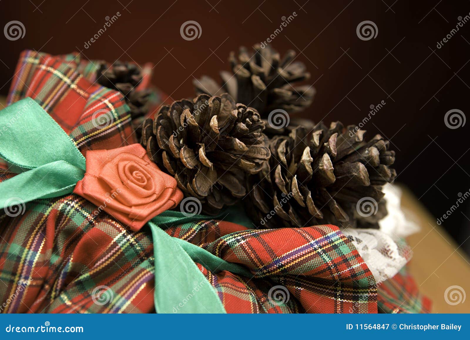 Bag of acorns stock image. Image of winter, seed, white - 11564847