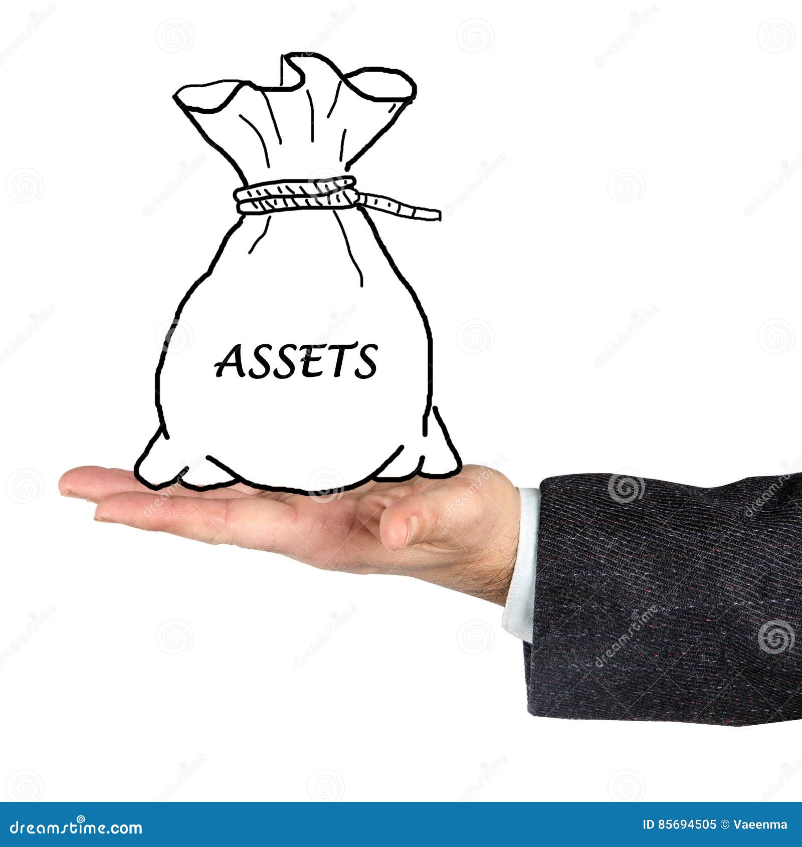 Bag with asset stock image. Image of person, securities - 85694505