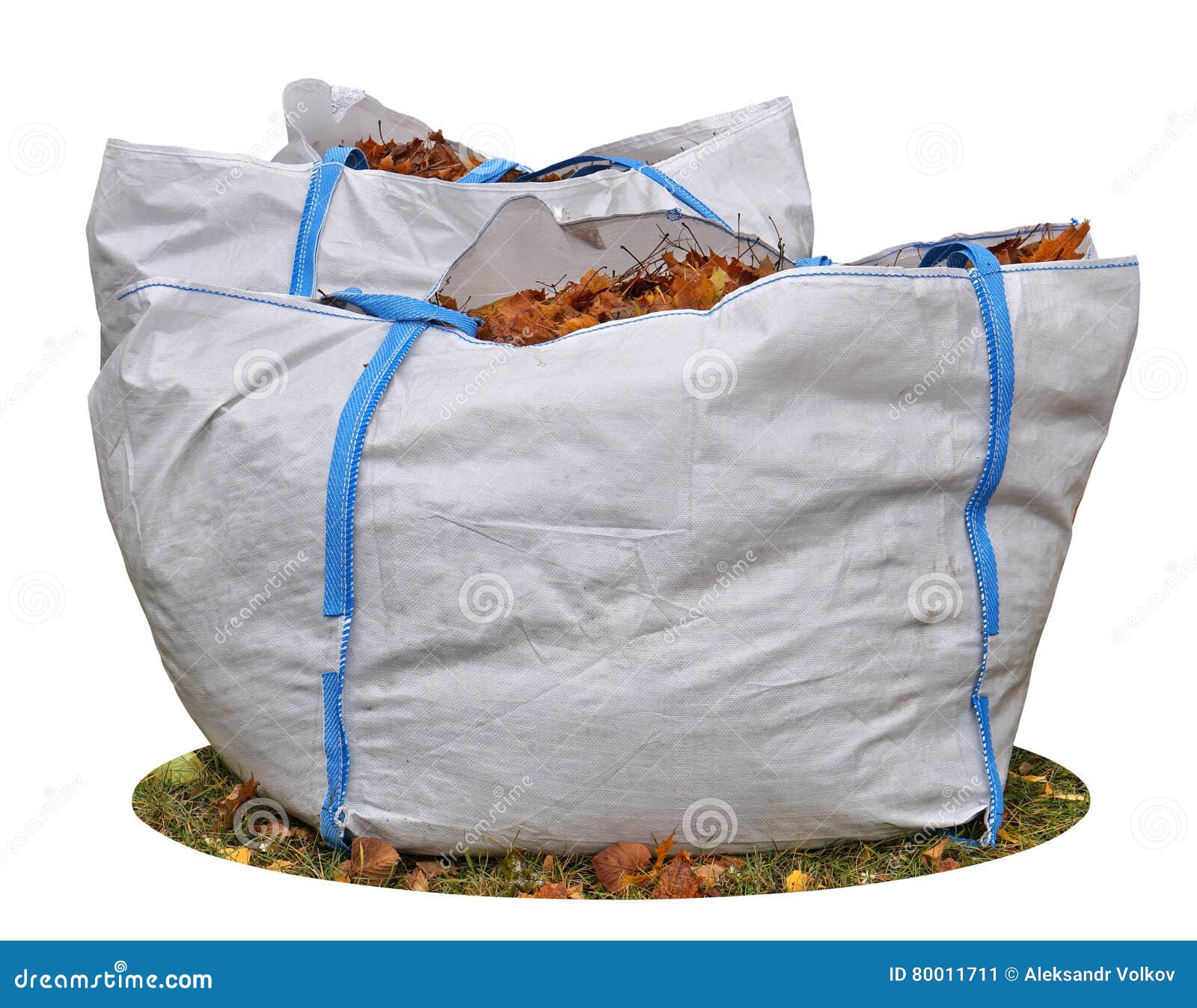 Bag with Autumn Maple Leaves Stock Image - Image of lawn, maple: 80011711