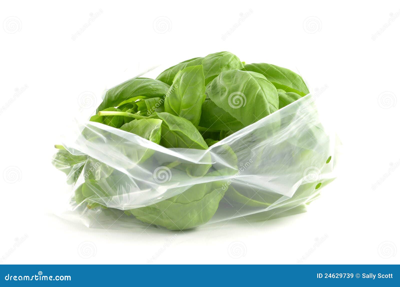 Bag of Basil stock image. Image of horizontal, organic - 24629739
