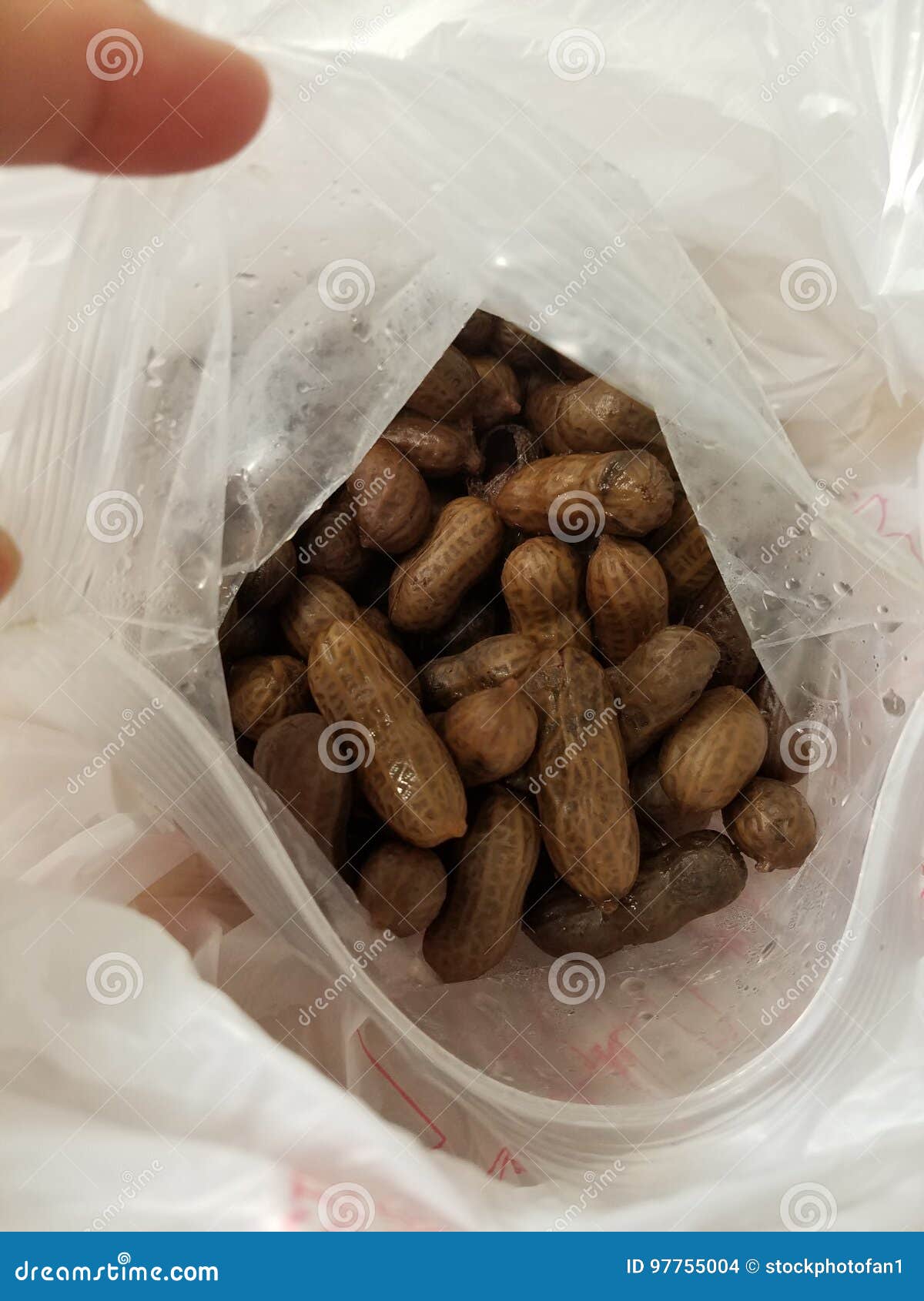 Bag of boiled peanuts stock photo. Image of eating, food - 97755004
