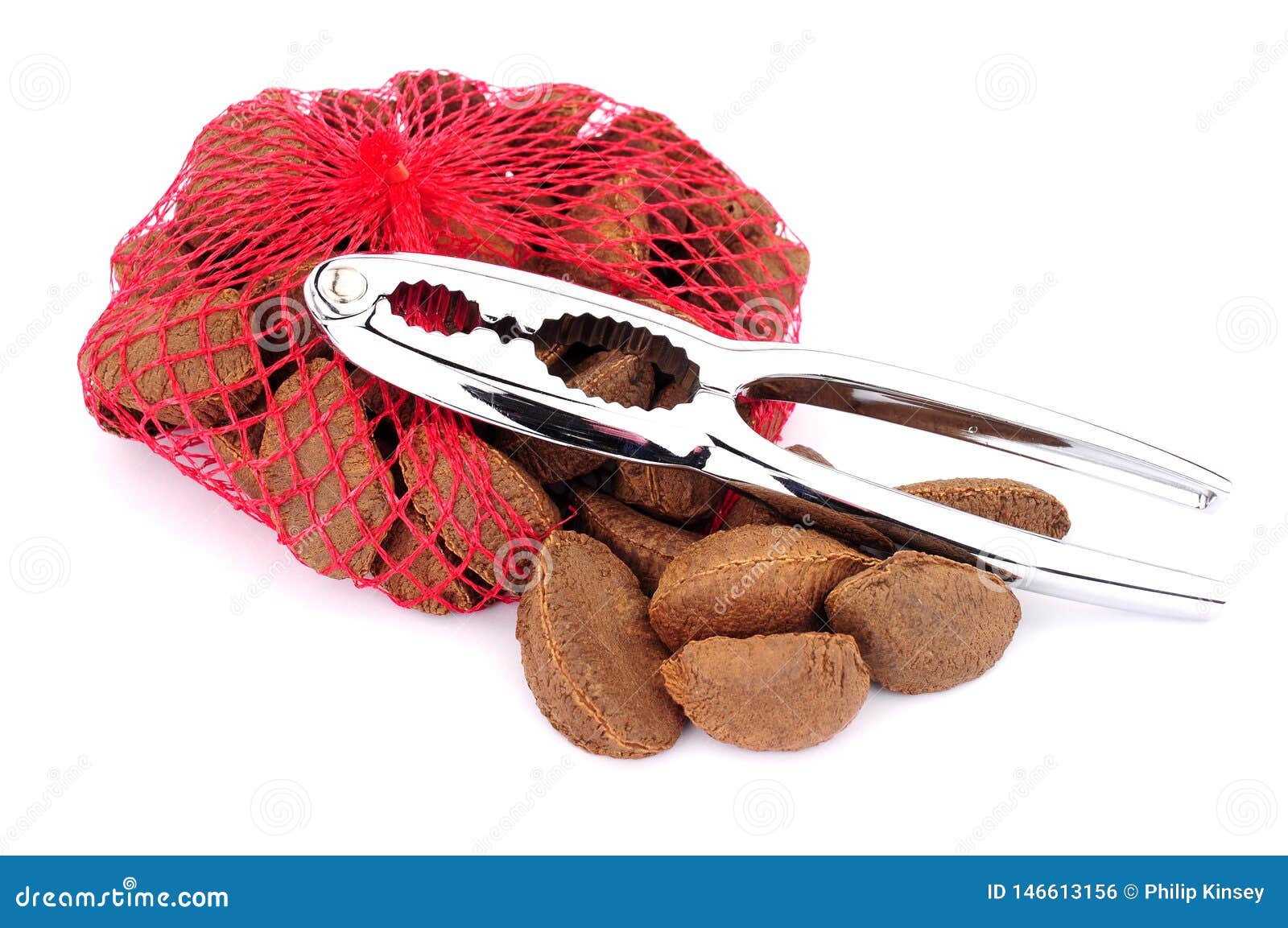Brazil Nuts Stock Images - Download 7,616 Royalty Free Photos
