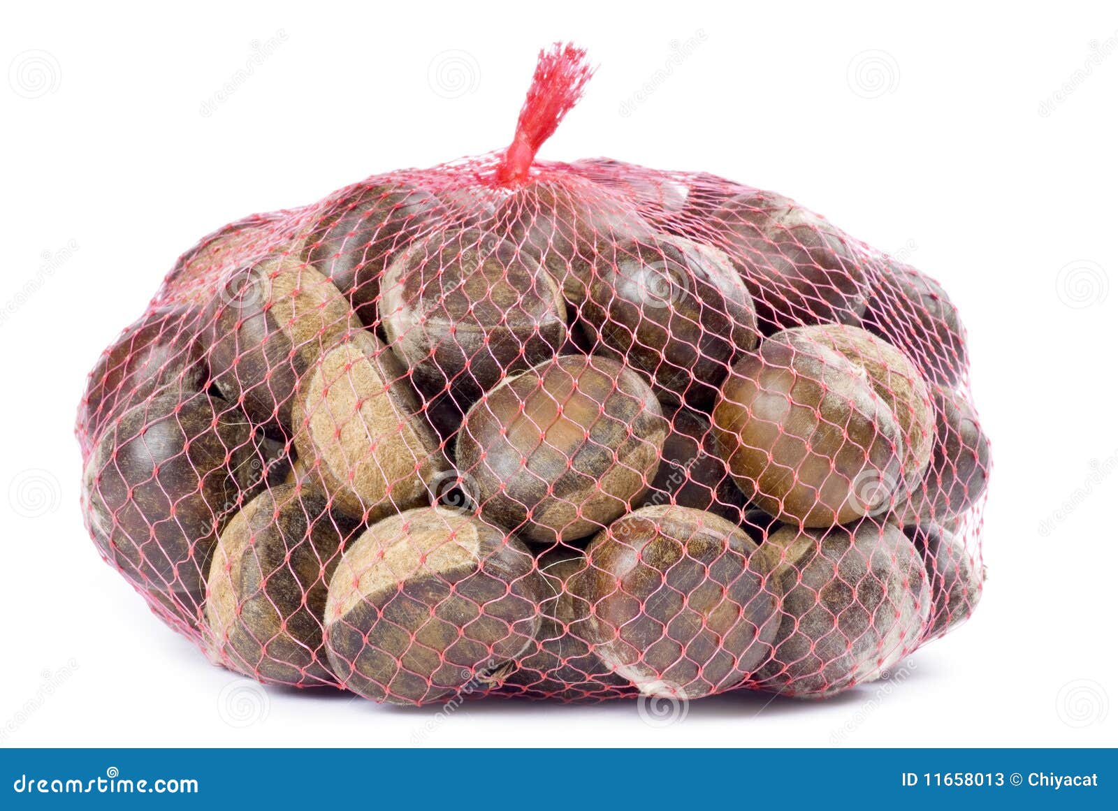 Bag of Chestnuts stock image. Image of chestnuts, nuts - 11658013