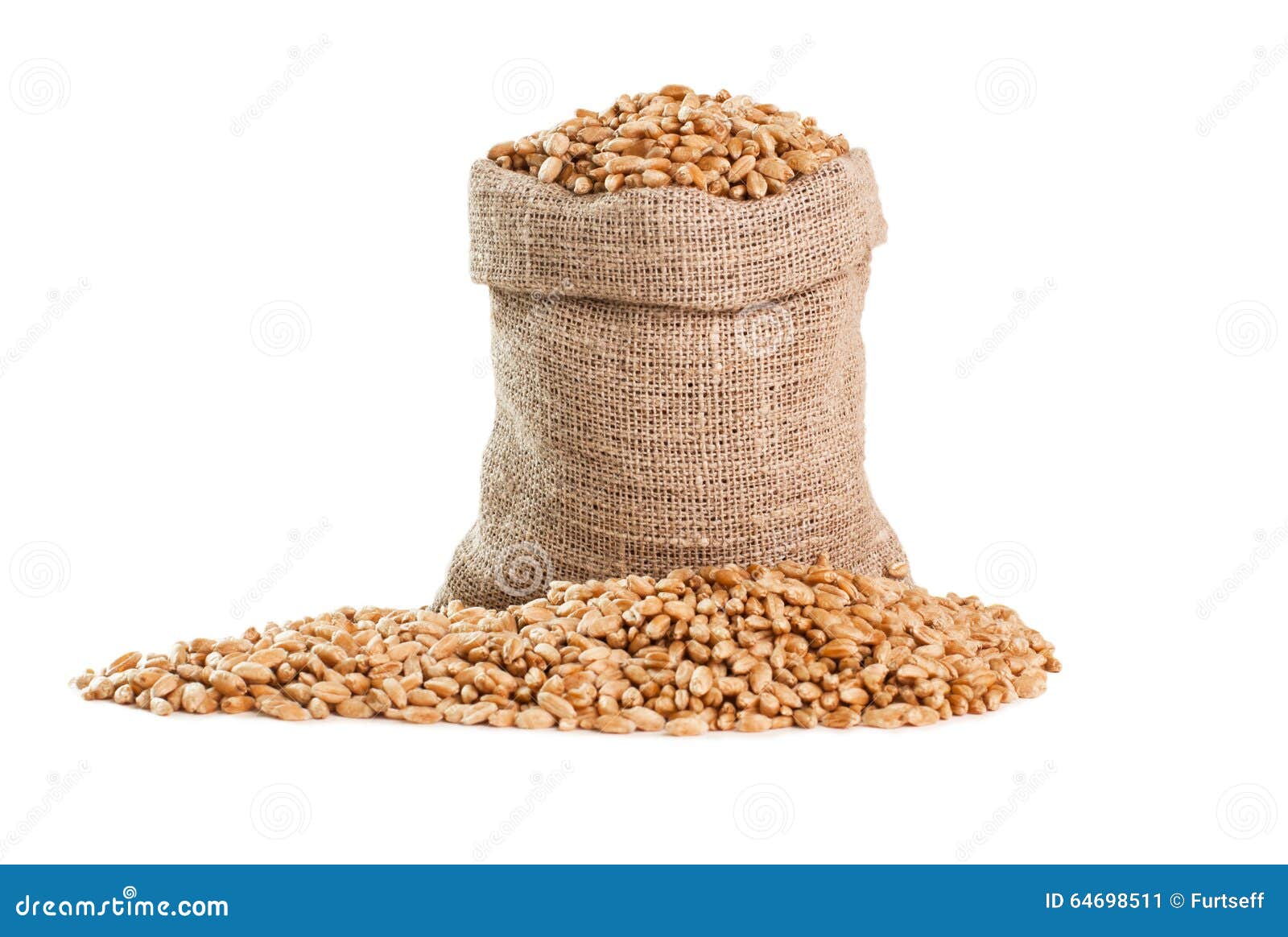 Bag With Grain Stock Image Image Of Agriculture Isolated 64698511 7169