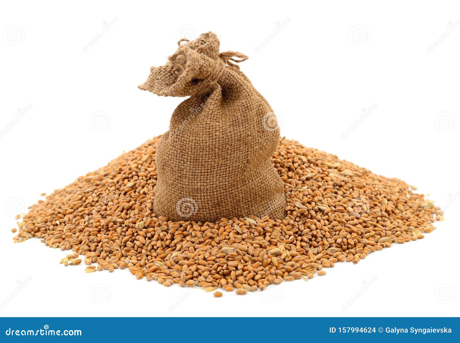 A Bag of Grain and Wheat Bran Stock Photo - Image of harvest ...