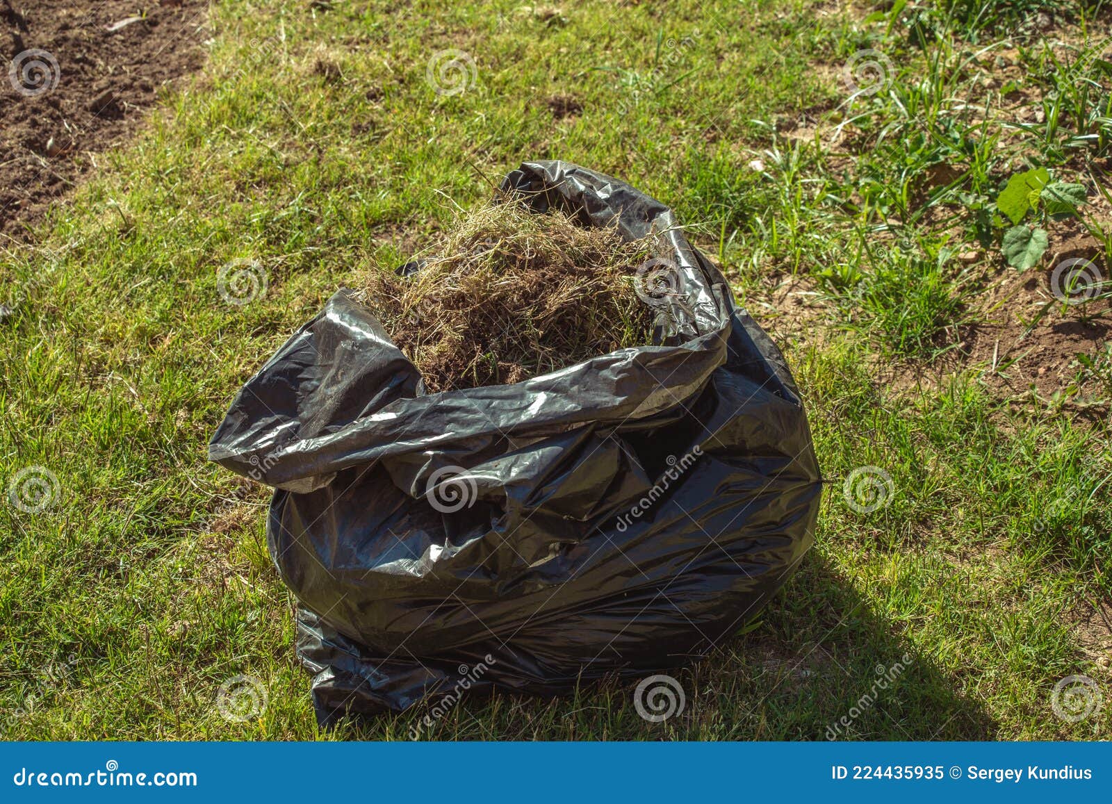 A Bag of Grass is Like Trash on Nature. a Park Worker Folded Dry Grass ...