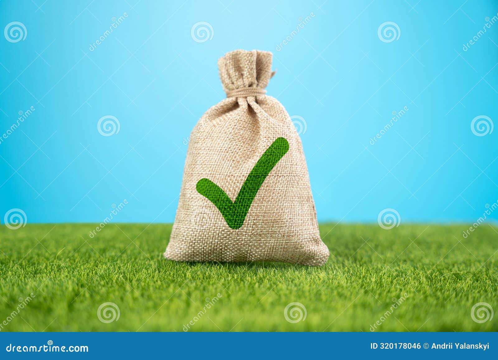 Bag with Green Tick. Fulfill All Conditions Stock Photo - Image of ...