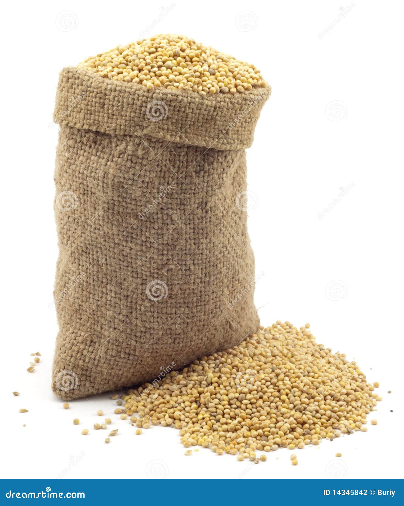 A bag of millet stock photo. Image of grain, health, uncooked - 14345842