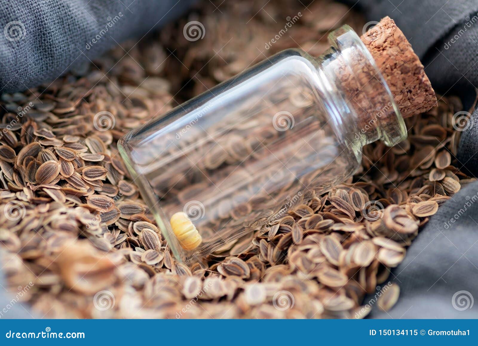 In A Bag Of Natural Flax Filled With Seeds Of Plants Is A Glass Flask With One Flower Seed The