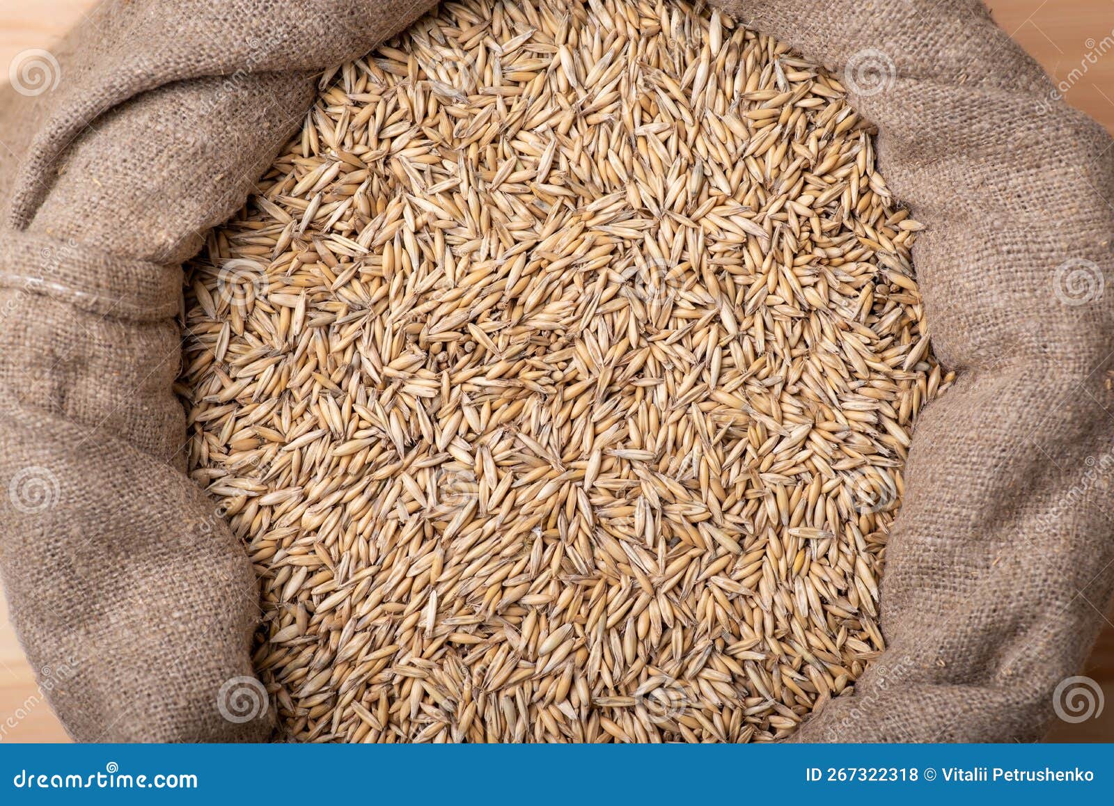 Bag of oat stock photo. Image of vegetarian, golden - 267322318