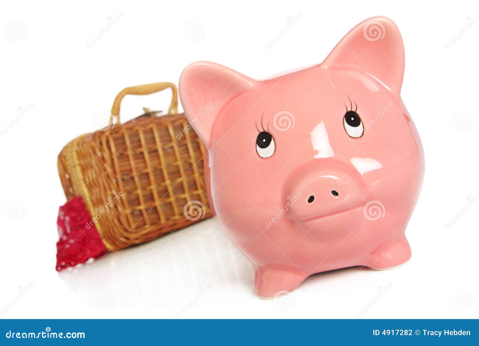 Bag packed pig stock photo. Image of savings, piggybank - 4917282