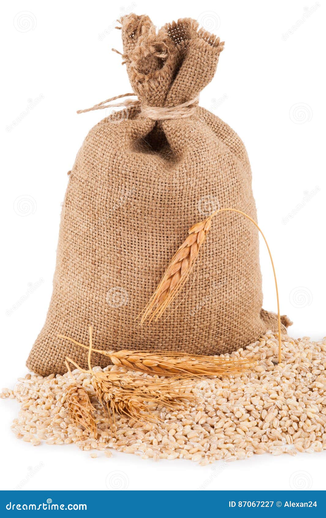 Bag with pearl barley stock image. Image of grain, natural - 87067227