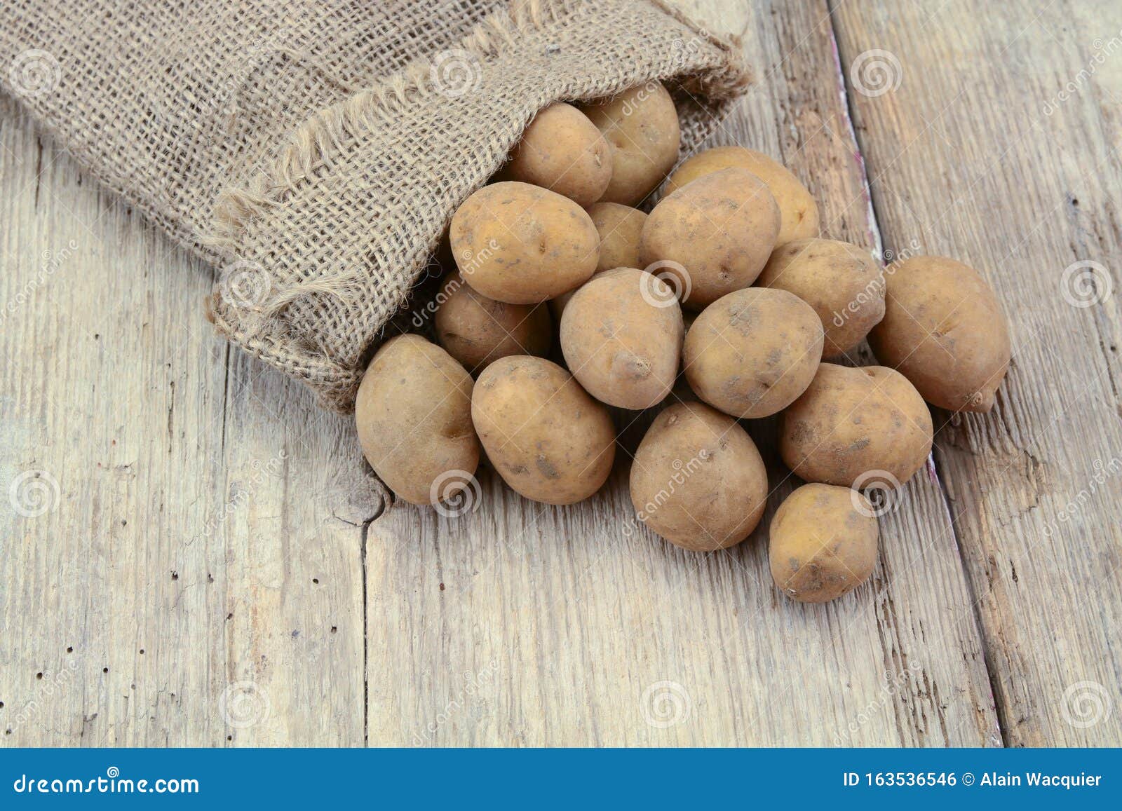 Bag of potatoes stock photo. Image of natural, earth - 163536546