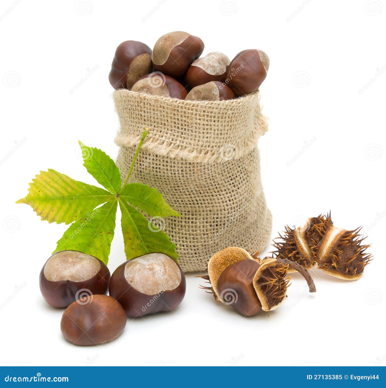 Bag with Ripe Chestnuts and Leaves on a White Stock Image - Image of ...
