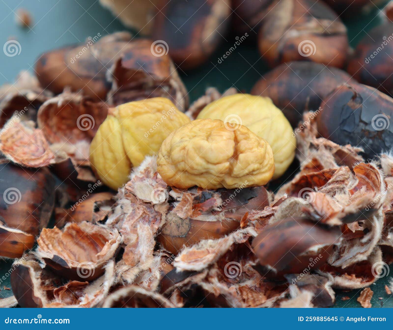 Bag of Roasted Chestnuts To Peel- Stock Image - Image of group, fruit ...
