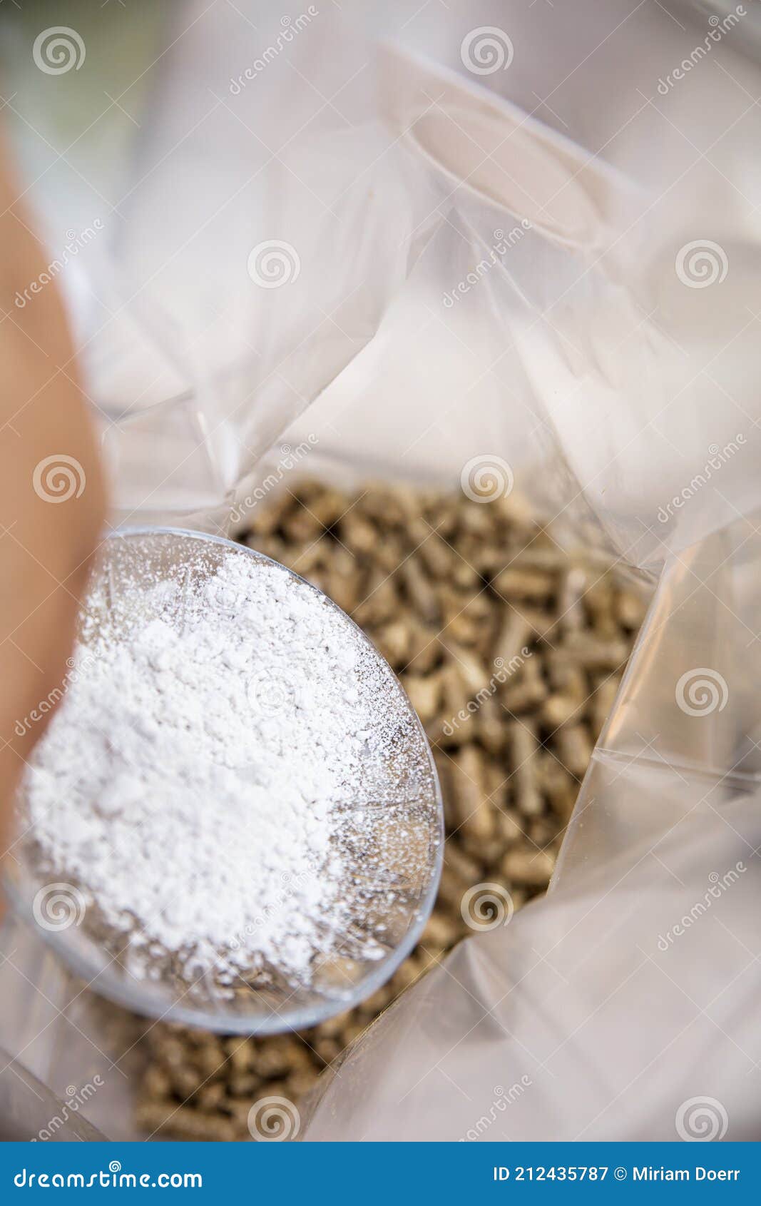 A Bag with Straw Pellets Gets Some Gypsum, Preparing for Mushroom ...