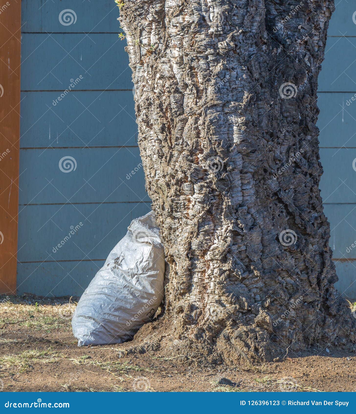 A Bag of Stuff Abandoned Under a Tree Stock Image - Image of travel ...