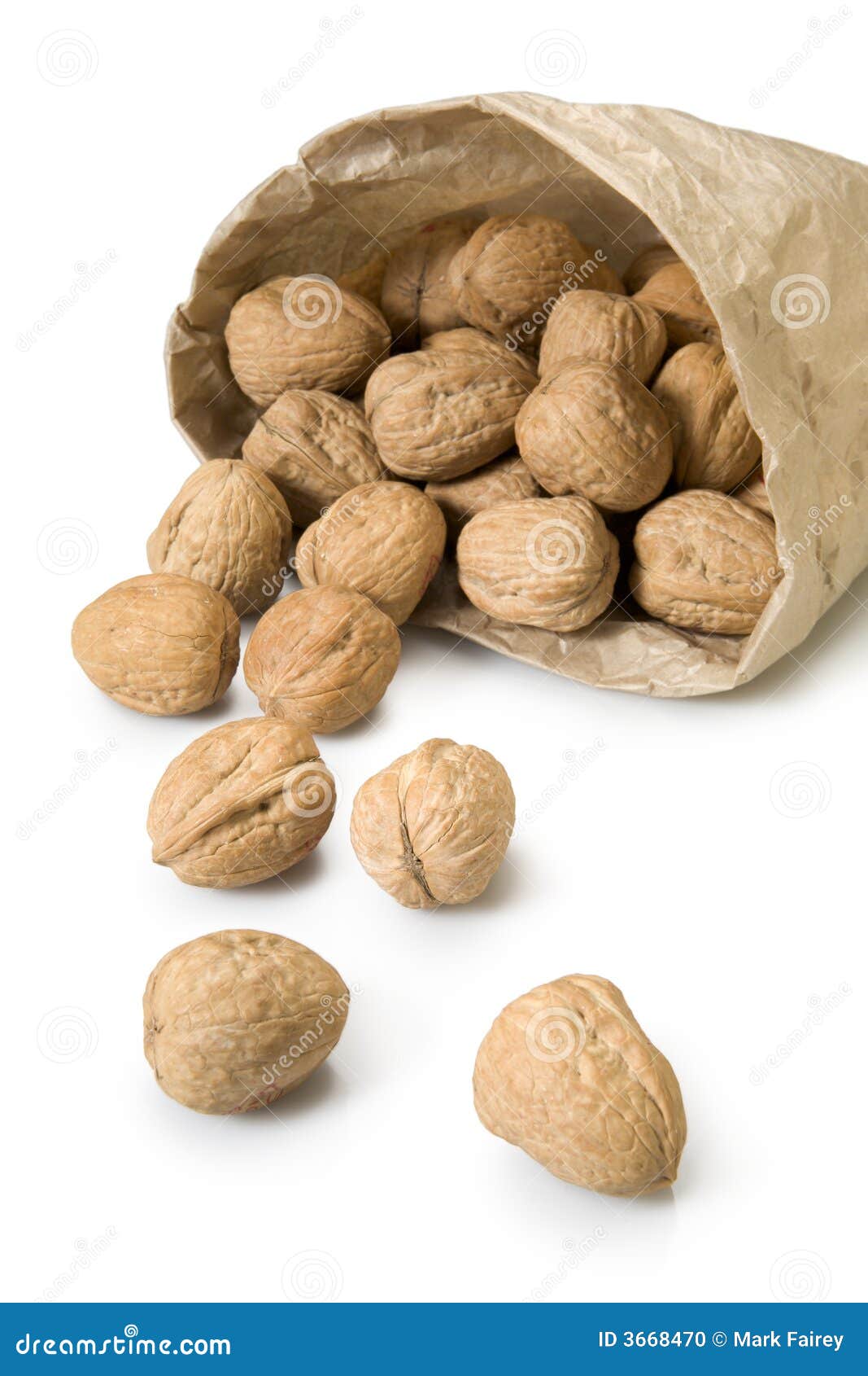 Bag of walnuts stock photo. Image of shopping, xmas, roast - 3668470